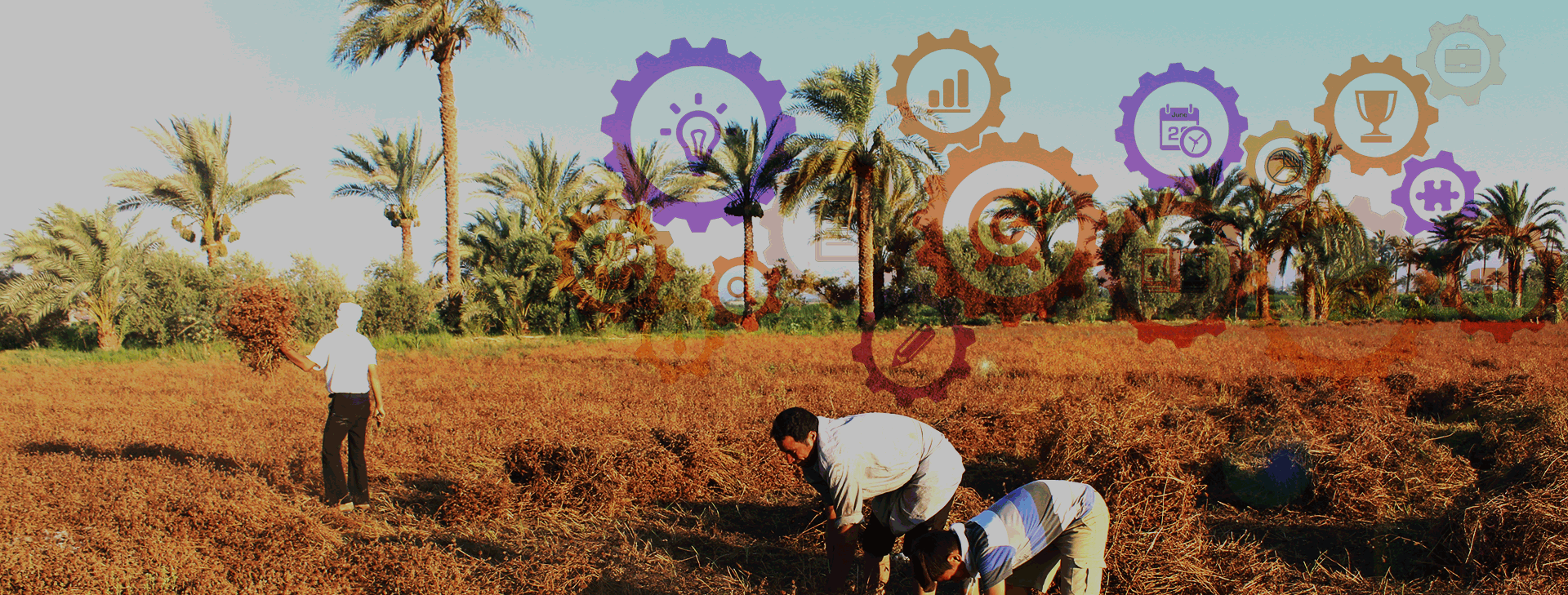 Agro Support Analytics