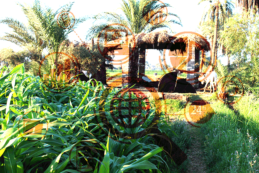 Agro Support Analytics