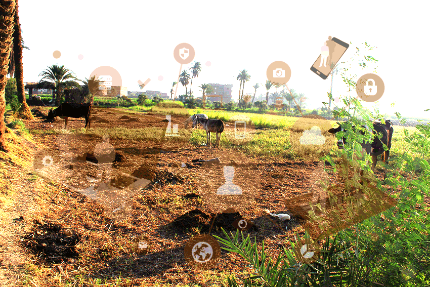 Agro Support Analytics