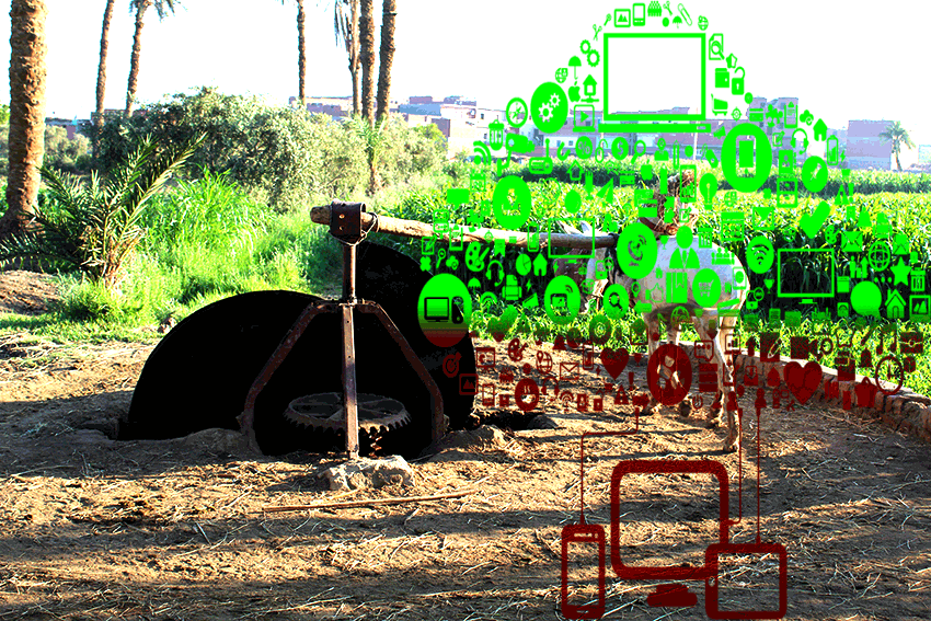 Services – Agro Support Analytics